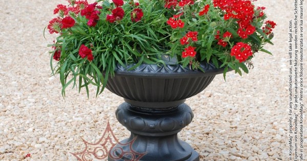 Cast Iron Flower Pot 86 :: KroneMag